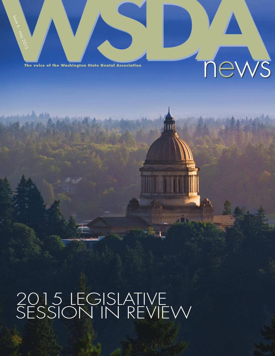 WSDA News Issue 6 May 2015 by Washington State Dental Association - Issuu