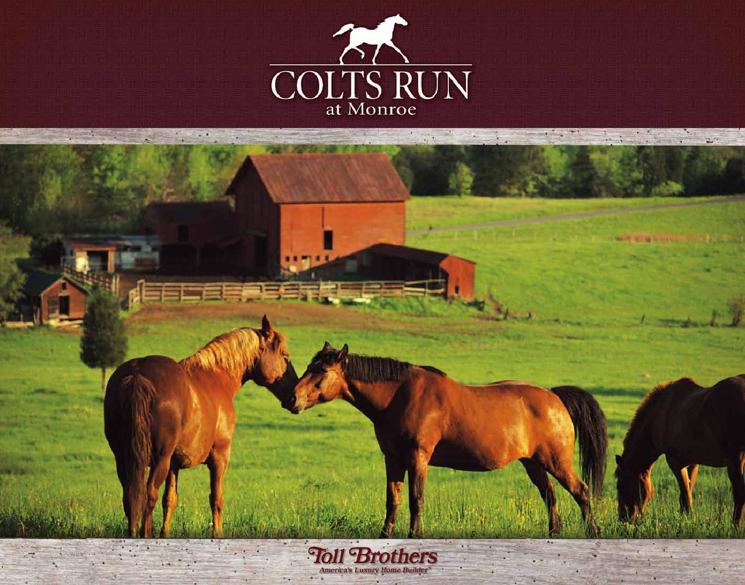 Colts Run at Monroe Community Guide by Toll Brothers, Inc. - Issuu