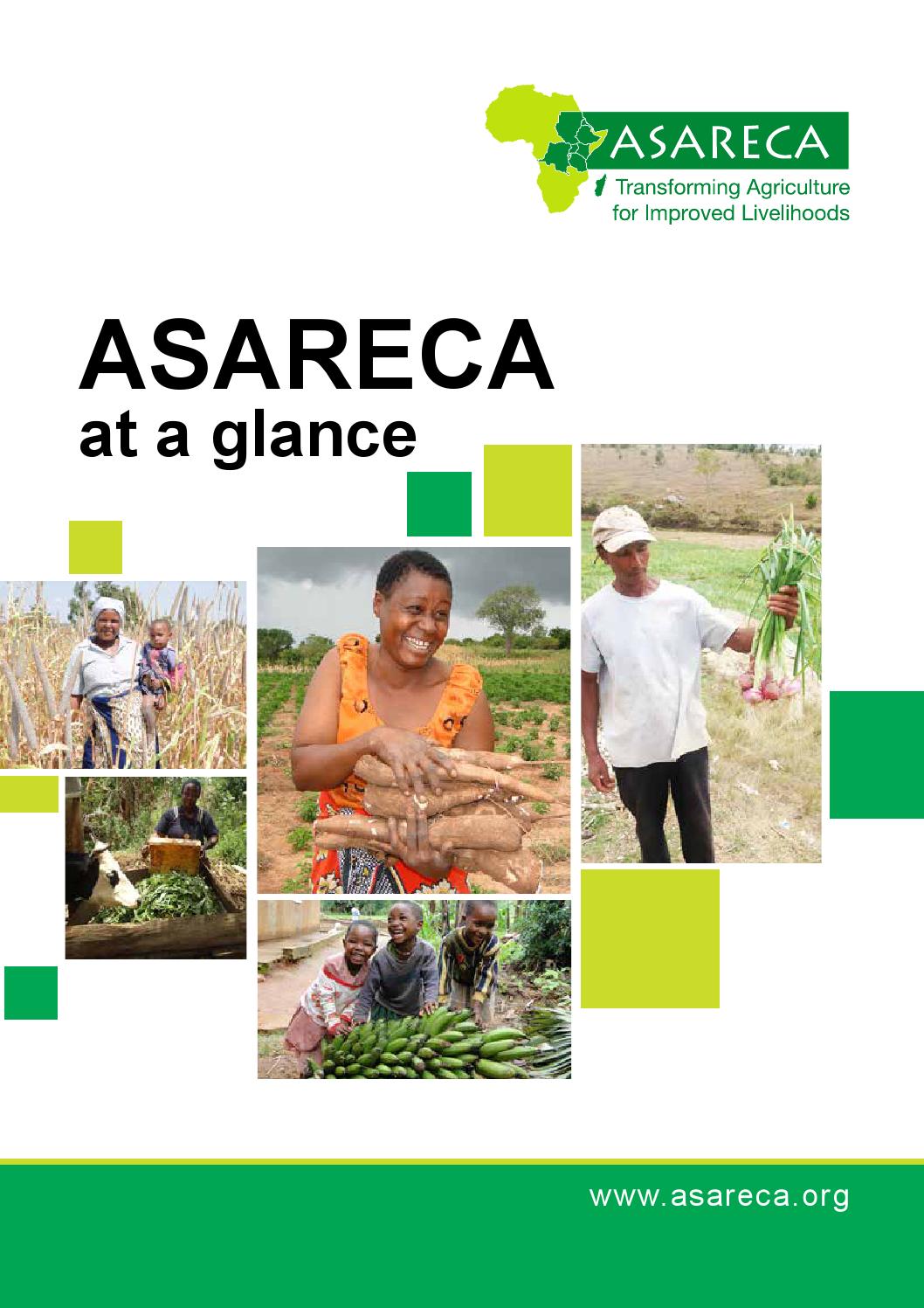 Asareca @ a glance by SLICK REPUBLIC LIMITED - Issuu