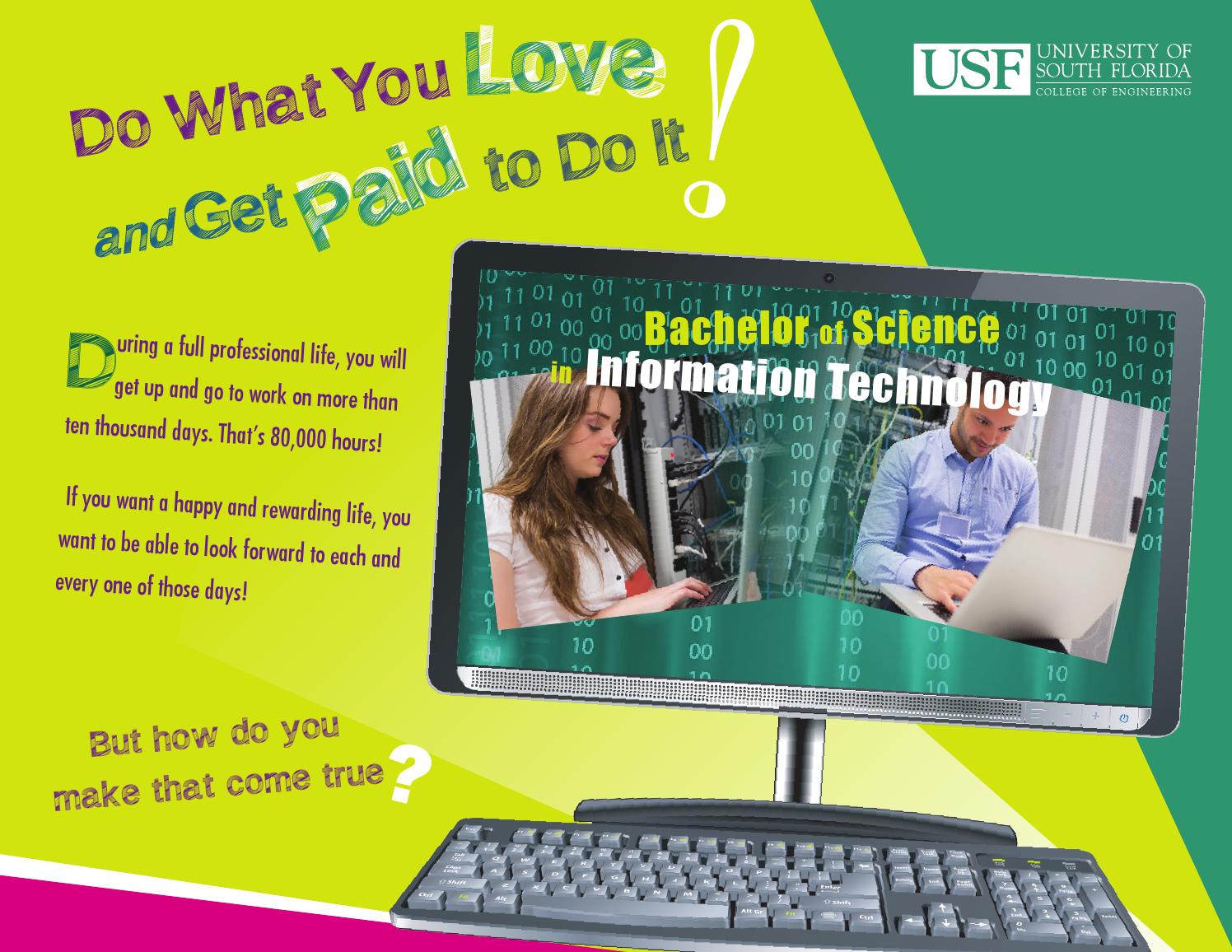 USF COE BSIT Brochure by USF Engineering - Issuu