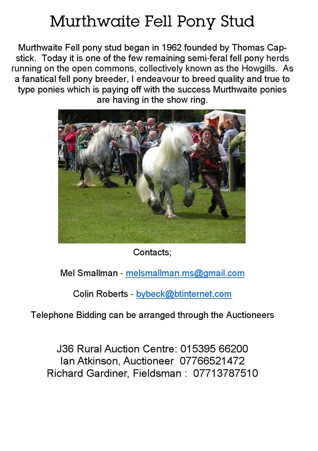 J36 Murthwaite Fell Pony Stud by North West Auctions - Issuu