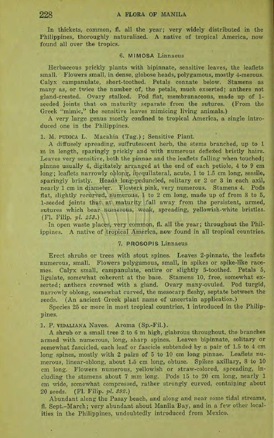A Flora of Manila by Filipiniana Online - Issuu