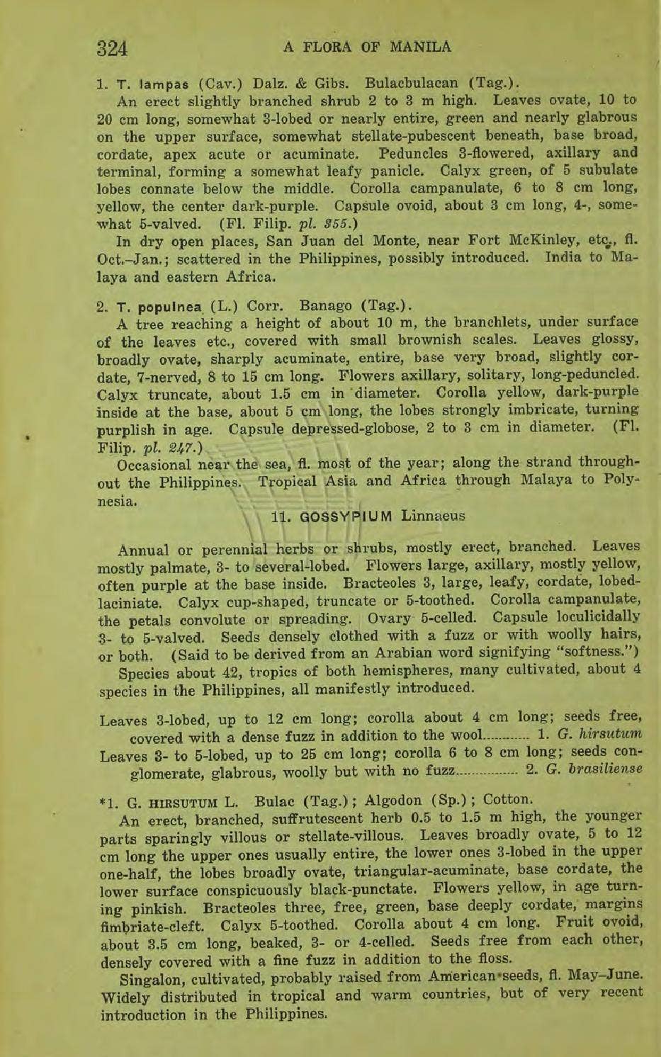 A Flora of Manila by Filipiniana Online - Issuu