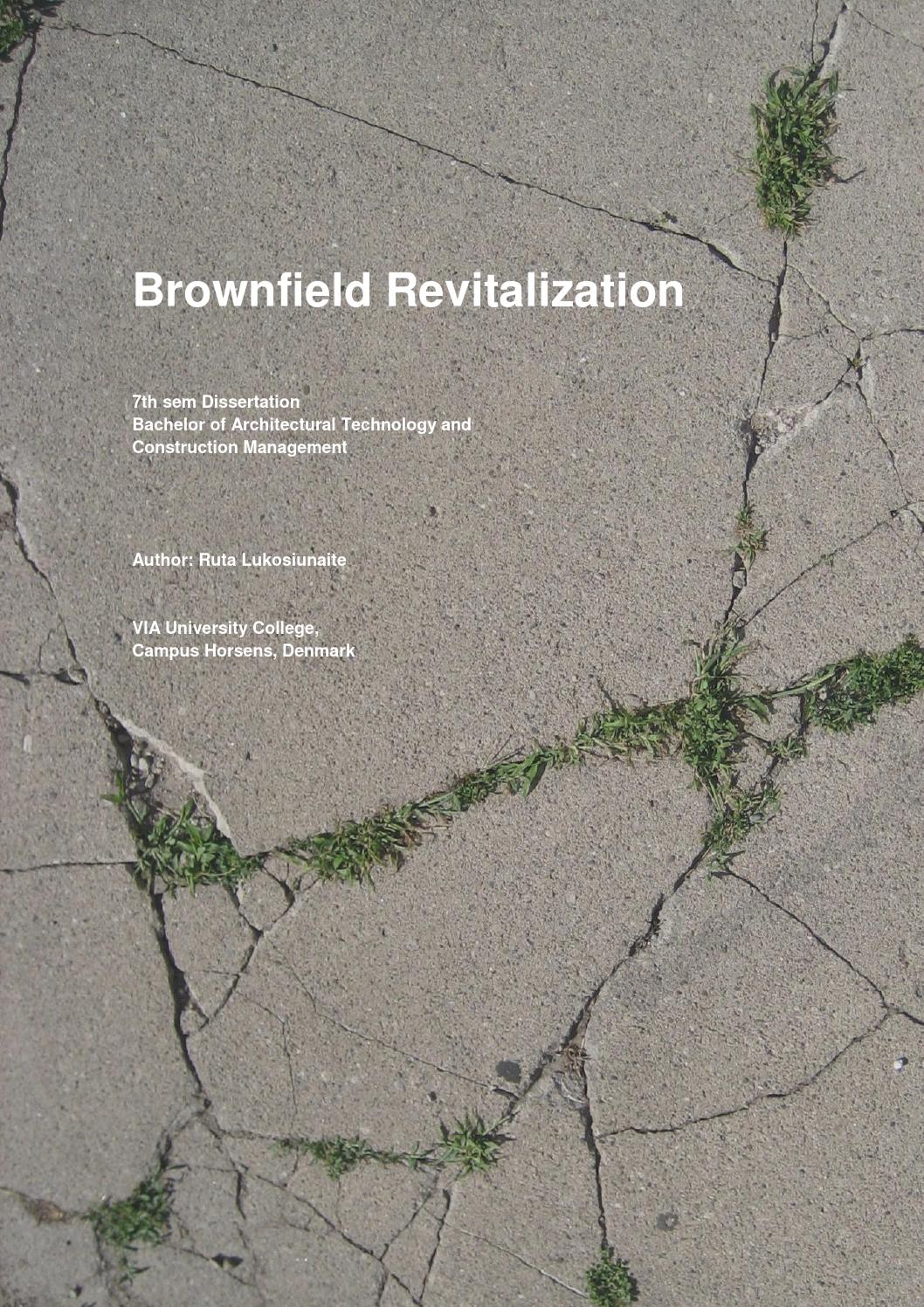 Brownfield revitalization by Ruta Lukosiunaite - Issuu