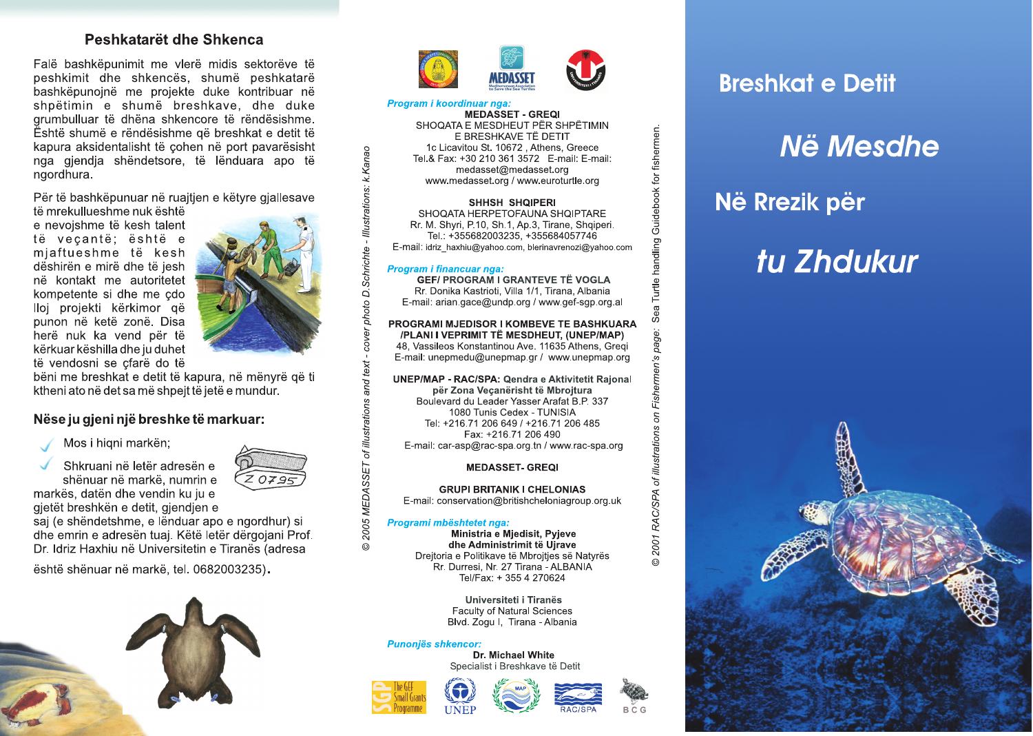 Leaflet in Albanian: Sea Turtles in the Mediterranean by MEDASSET - Issuu