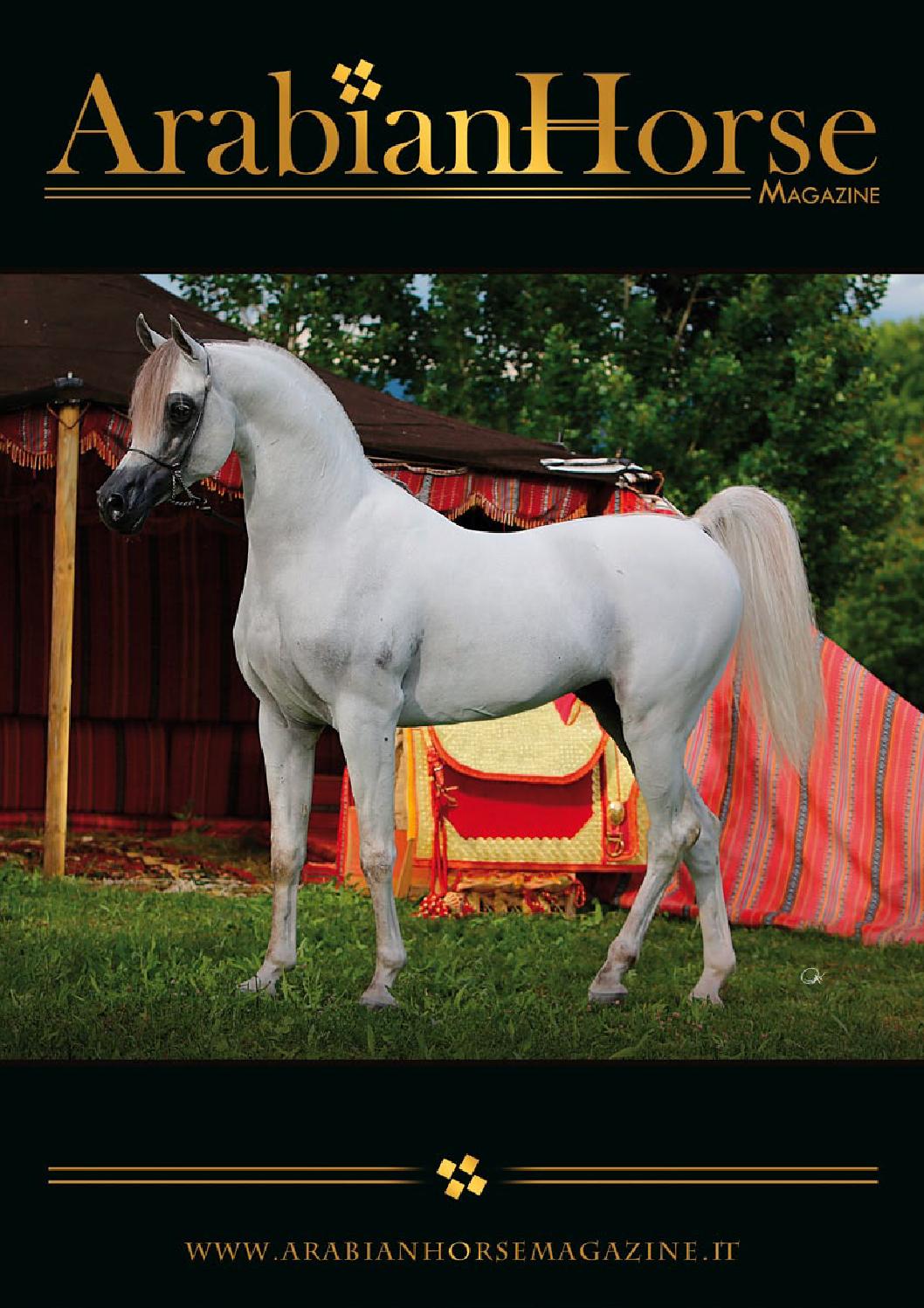Arabian Horse Magazine / n. 2 2015 by Arabian Horse Magazine - Issuu