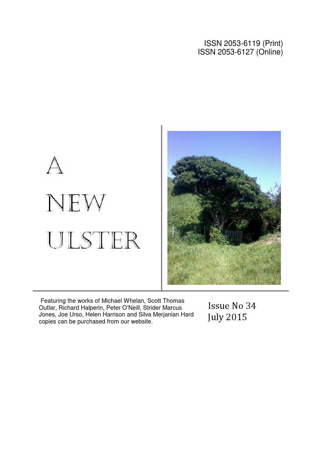 Anu issue 34 / A New Ulster by Amos Greig - Issuu