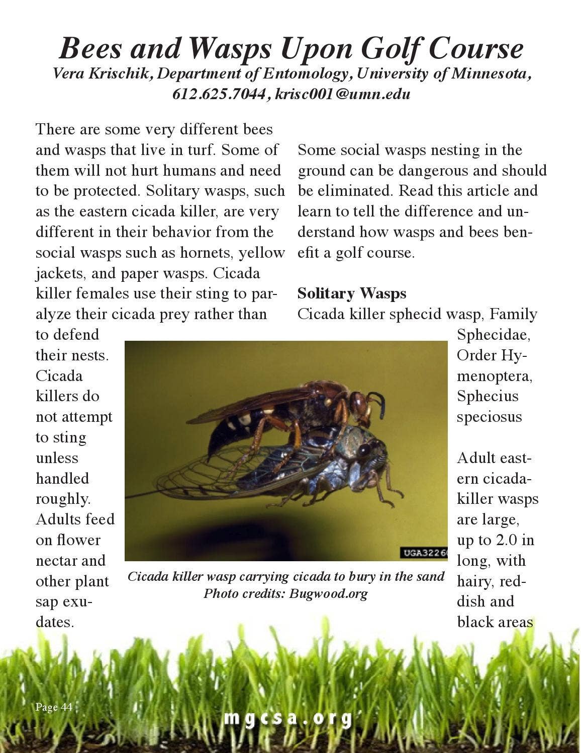 July 2015 Hole Notes by Minnesota Golf Course Superintendents ...