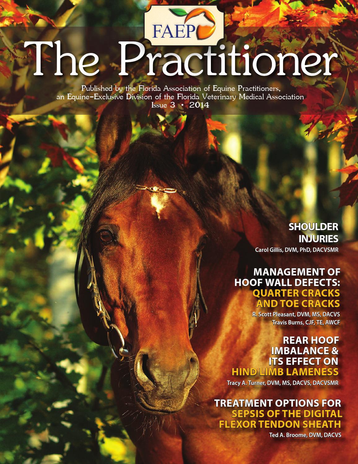 2014 Practitioner Issue 3 by FVMA - Issuu