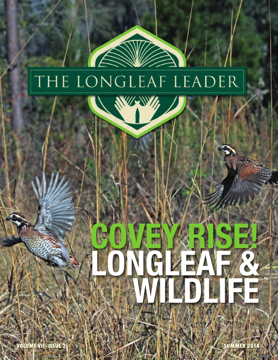 The Longleaf Leader - Summer 2014 by The Longleaf Alliance - Issuu