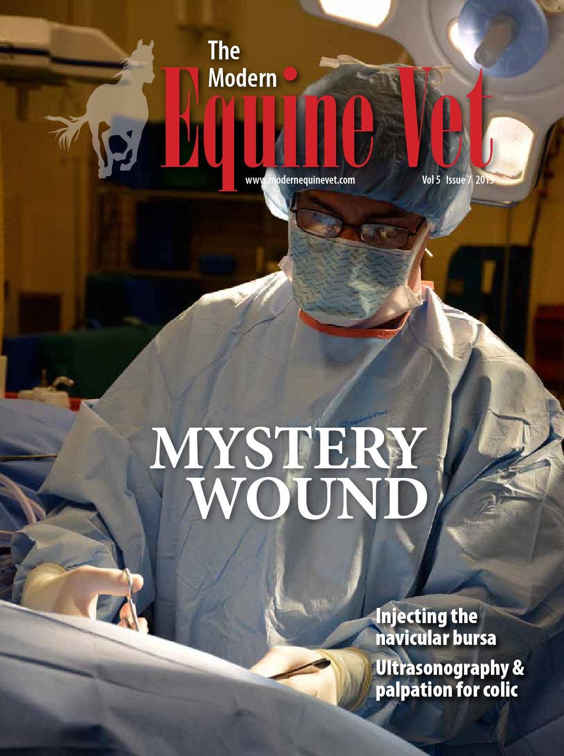 The Modern Equine Vet July 2015 by The Modern Equine Vet - Issuu