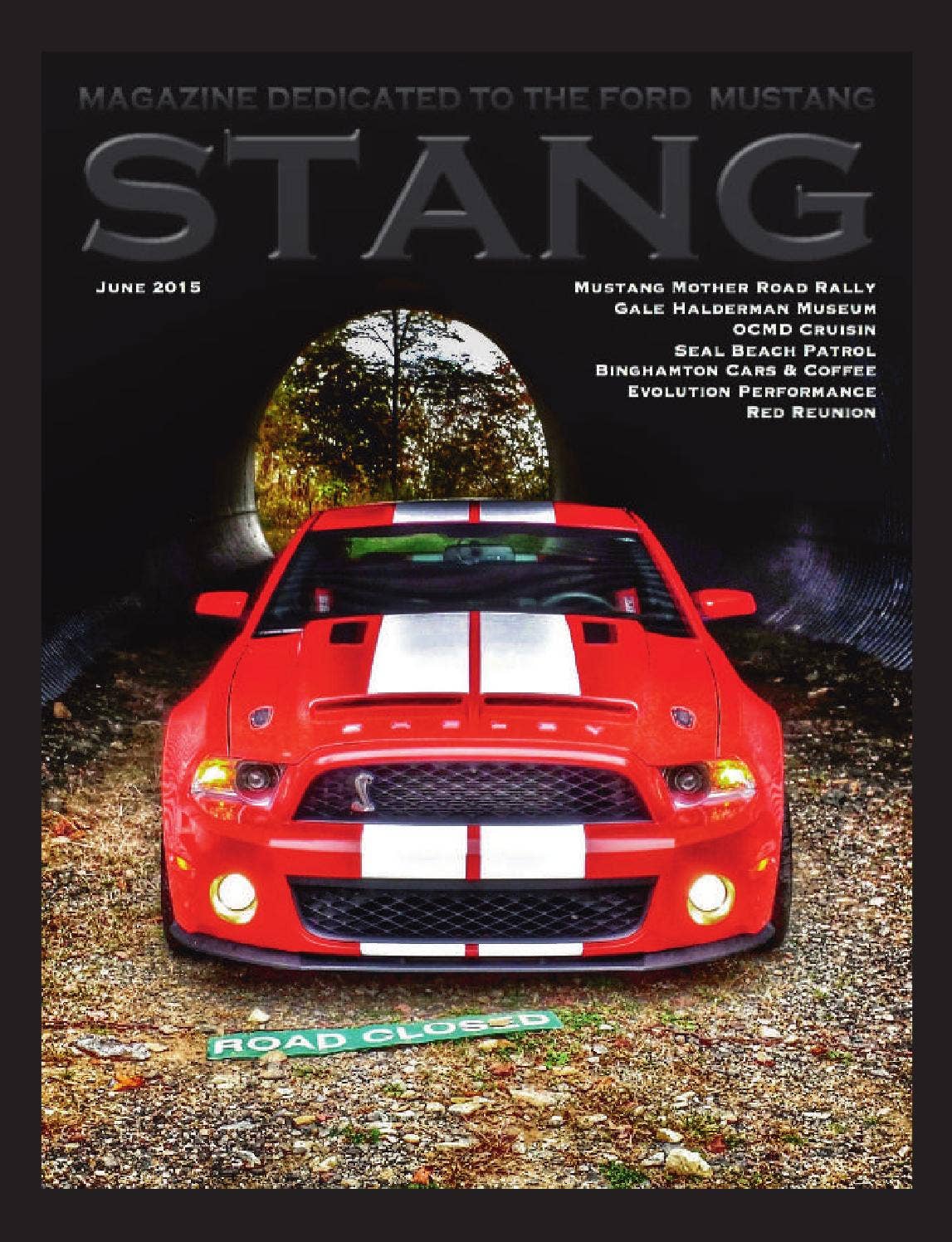STANG Magazine June 2015 by STANG Magazine - Issuu