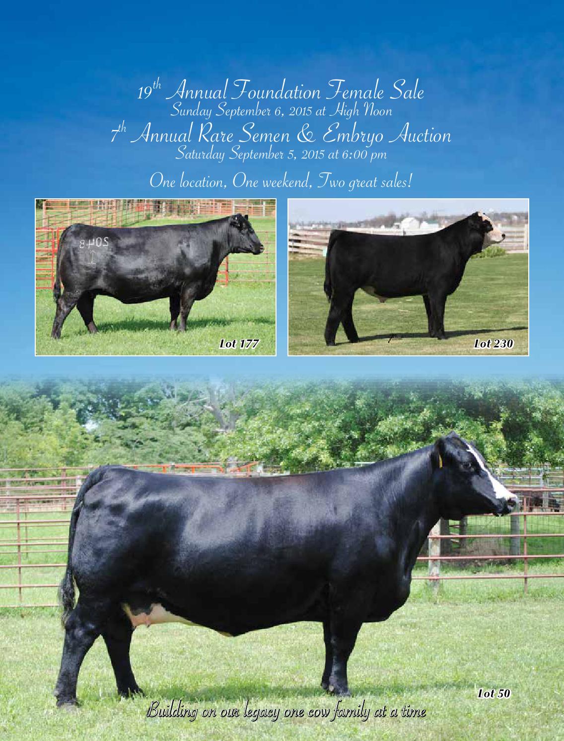 Rough Draft - Foundation Female Sale by Dwyer Cattle Services - Issuu
