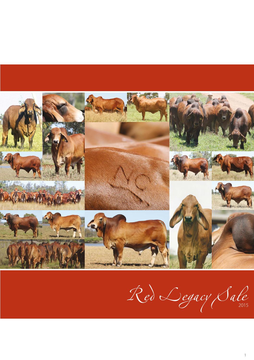 NCC Red Legacy Sale Catalogue 2015 by Rural Design Studio - Issuu