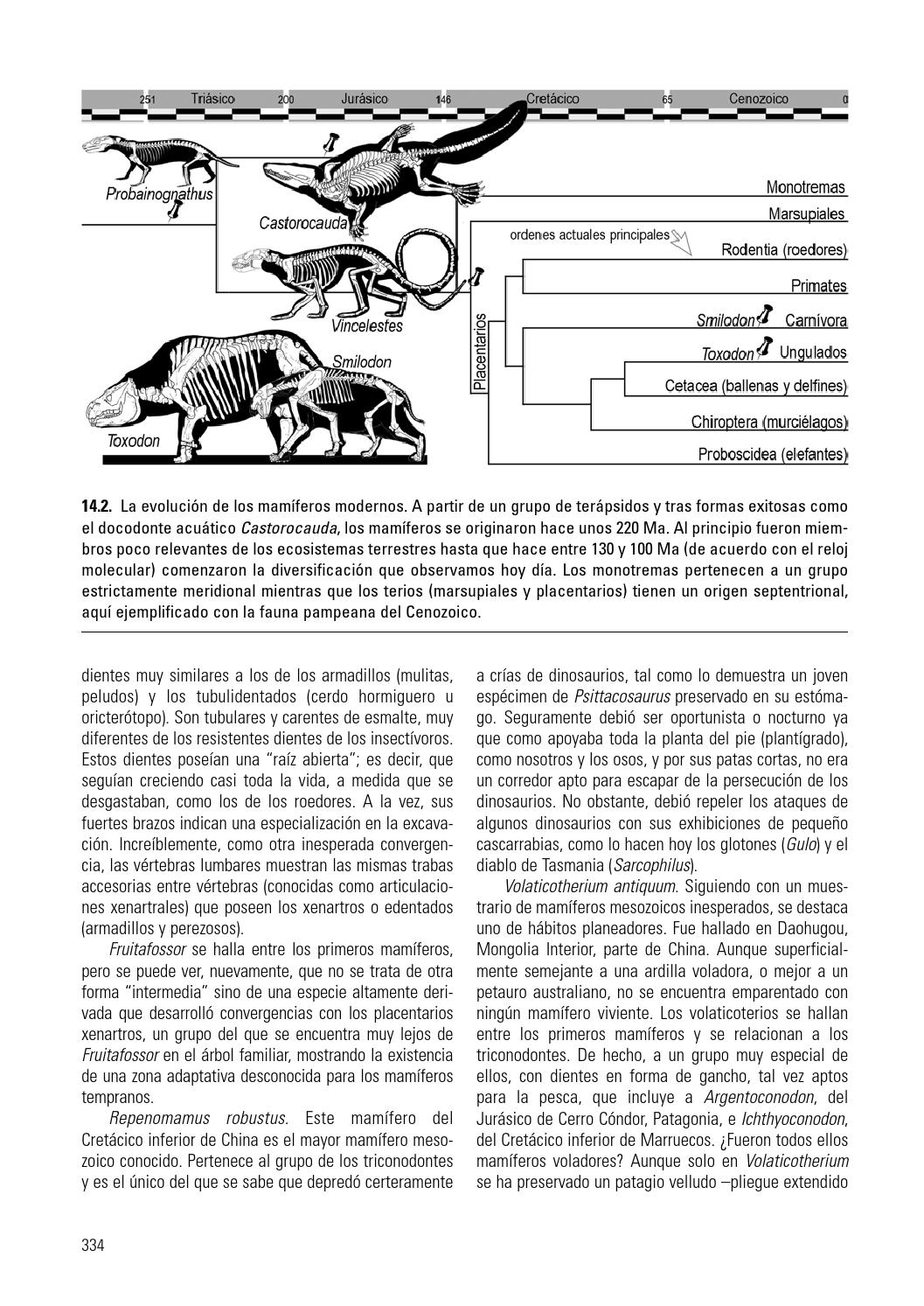 Vida en evolucion pdf by roberto ares - Issuu