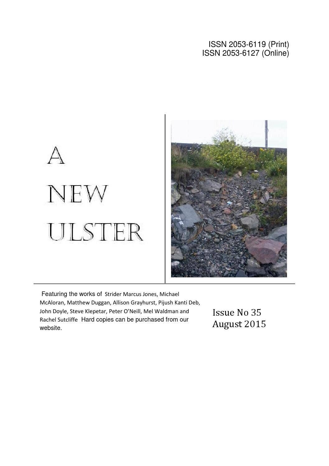 Anu issue 35 / A New Ulster by Amos Greig - Issuu