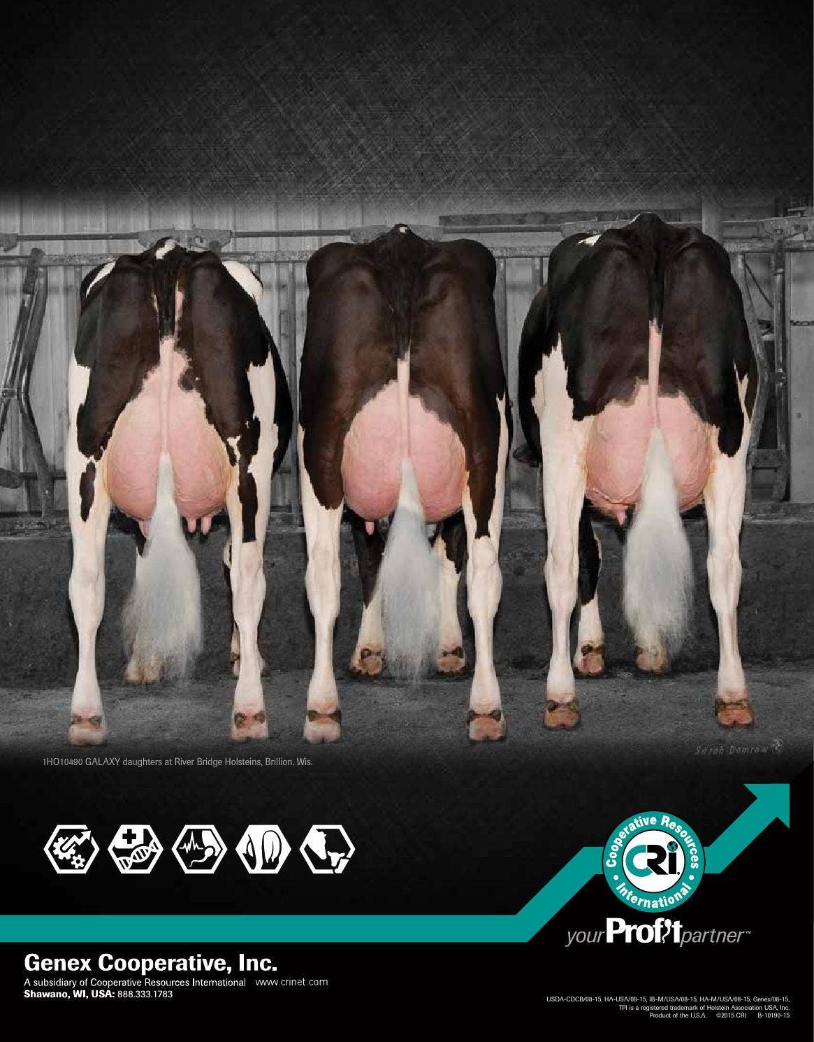 August 2015 Genex Holstein Sires by GENEX - Issuu