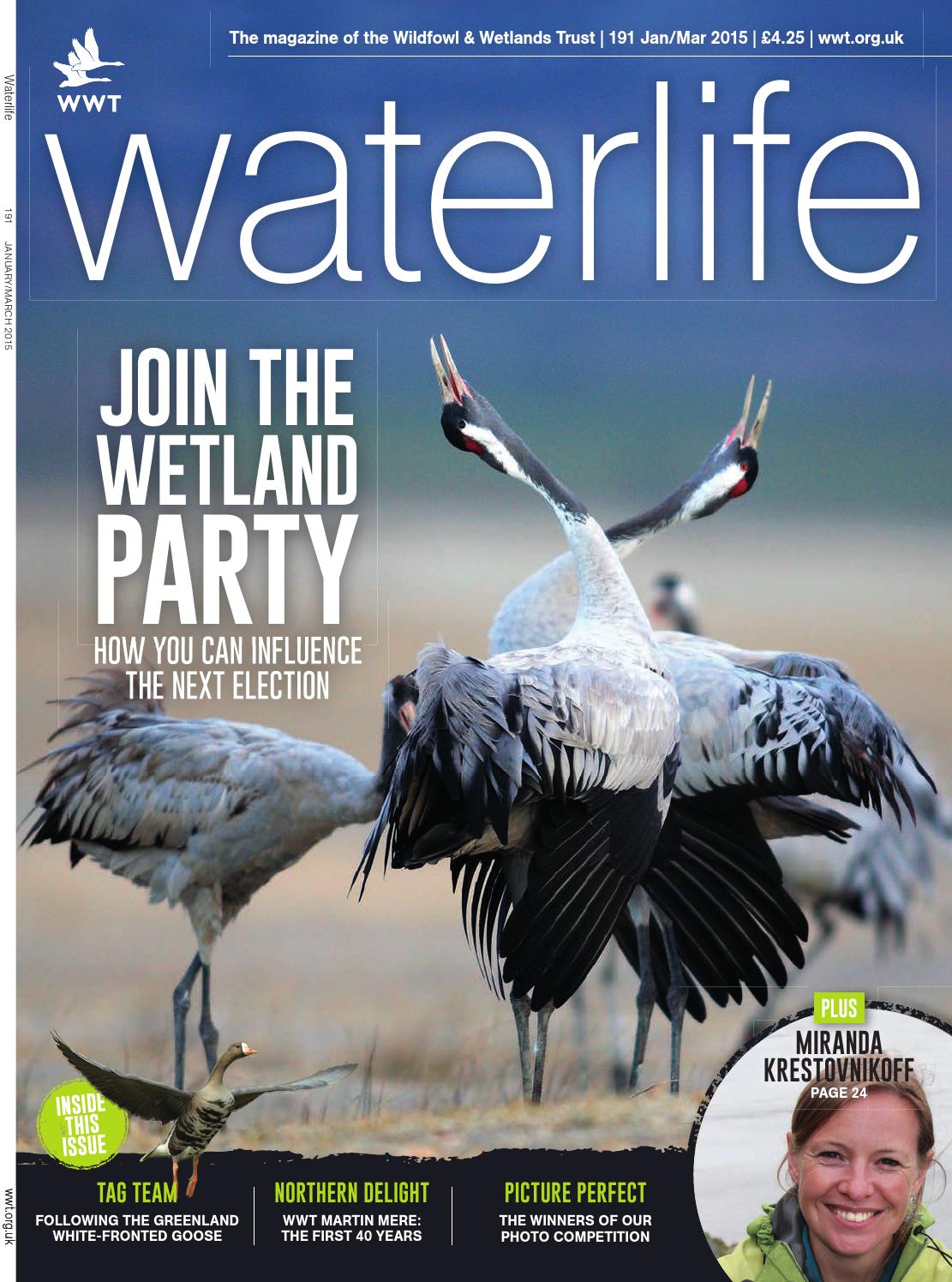 Waterlife January - March 2015 by WWT Waterlife - Issuu