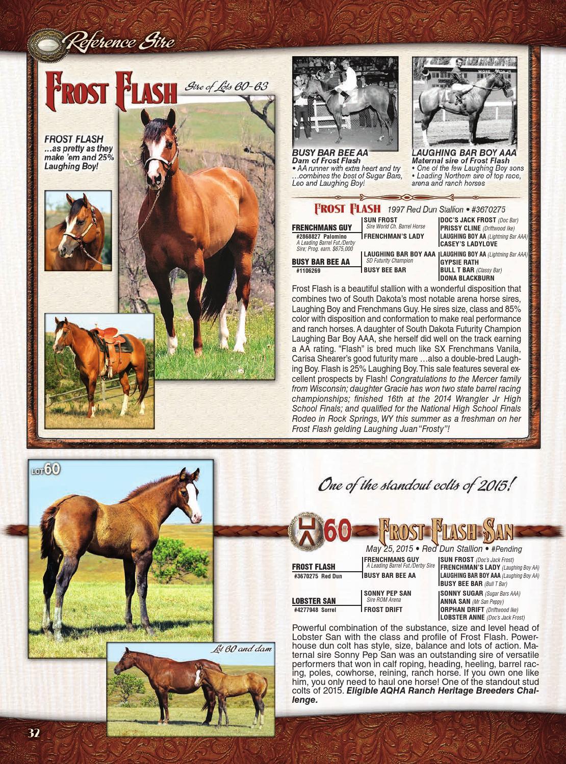 Open Box Rafter Ranch 2015 Performance Quarter Horse Sale by ...