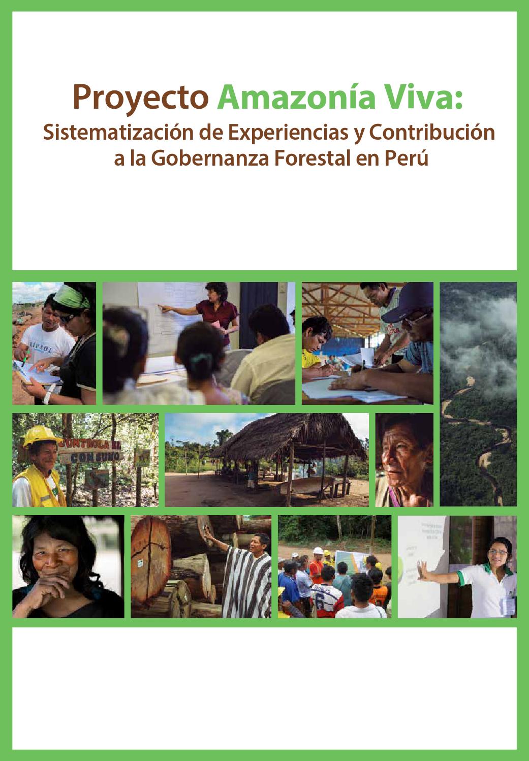 Proyecto Amazonía Viva: Sistematización de experiencias y contribución ...