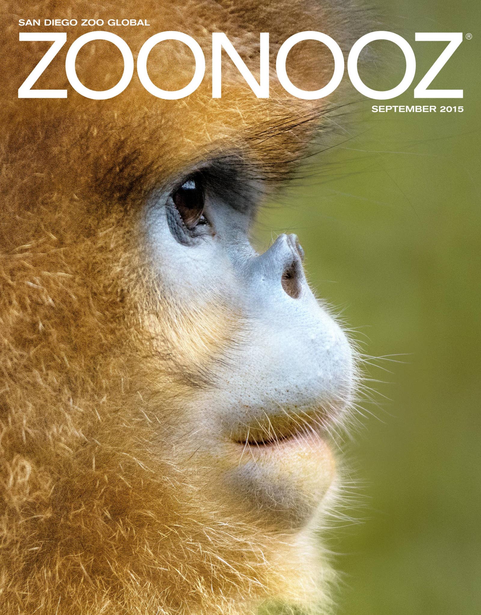 ZOONOOZ September 2015 by San Diego Zoo Wildlife Alliance - Issuu