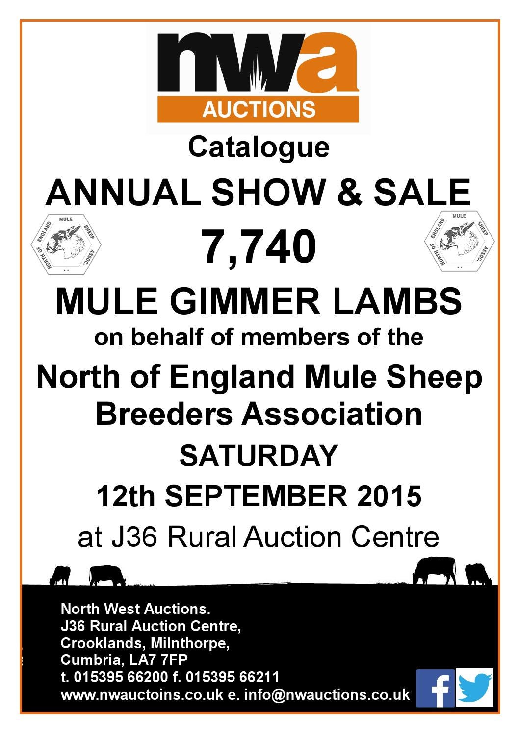 NEMSA Mule Gimmer Lambs by North West Auctions - Issuu