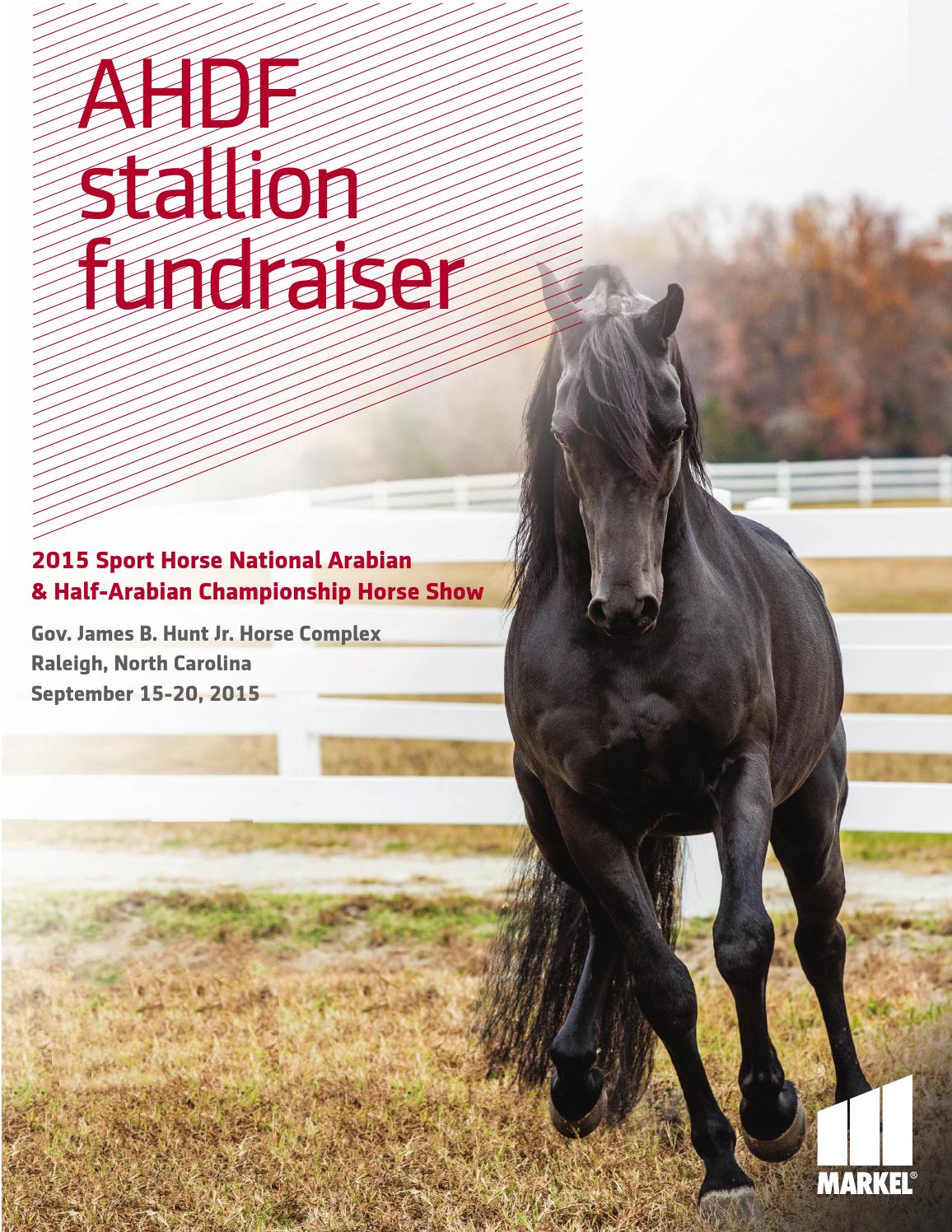 Arabian Horsemans Distress Fund Stallion Fundraiser by Arabian Horse ...