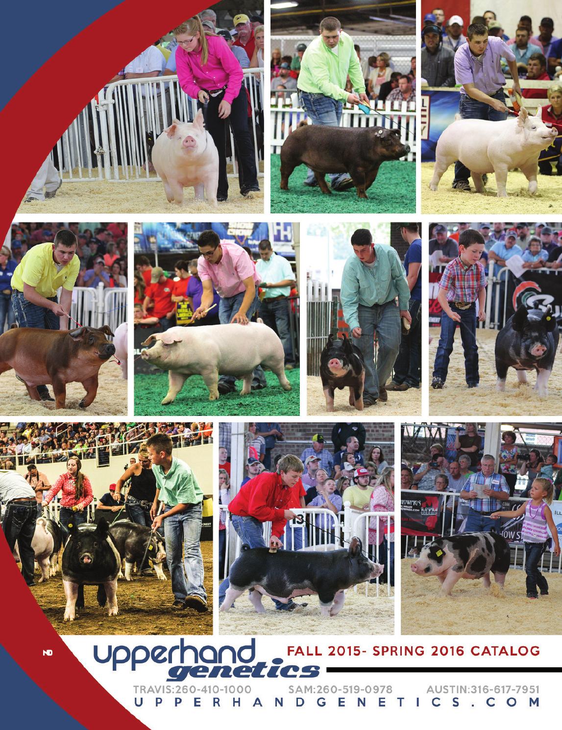 Upperhand Genetics : Fall 2015-Spring 2016 Boar Stud Catalog by Novel ...