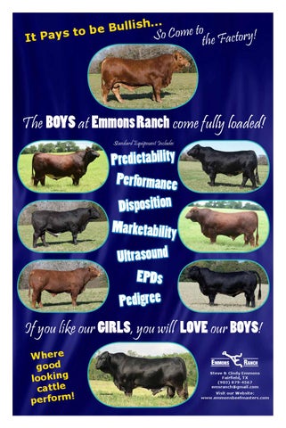 The Beefmaster Pay Weight - Fall 2015 by Beefmaster Breeders United - Issuu