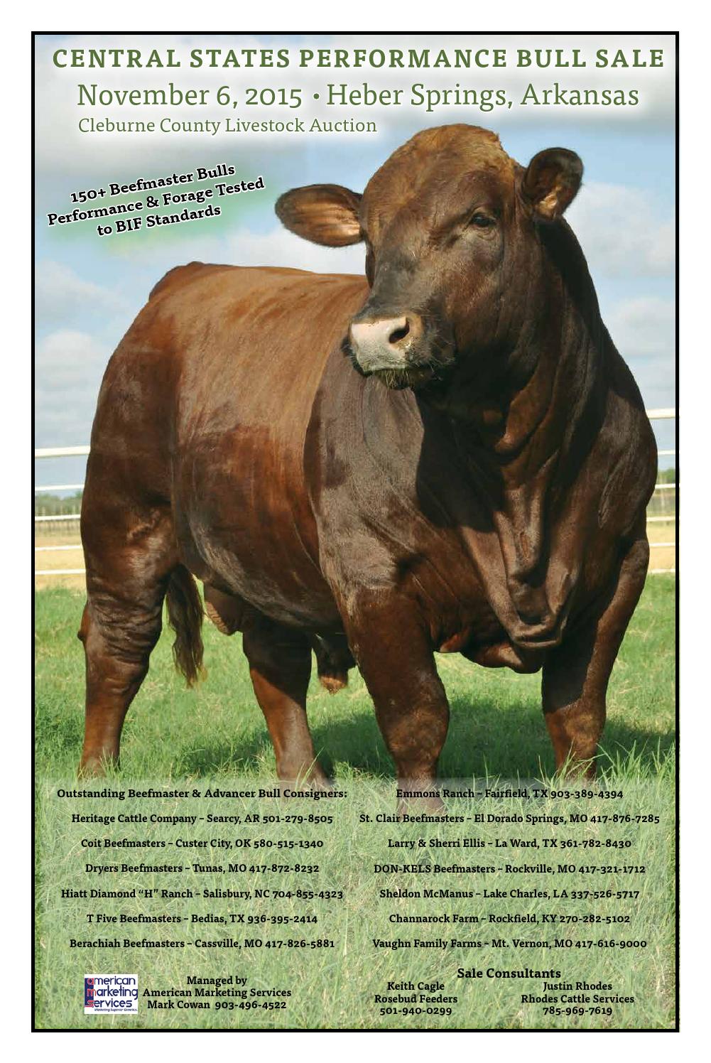 The Beefmaster Pay Weight - Fall 2015 by Beefmaster Breeders United - Issuu