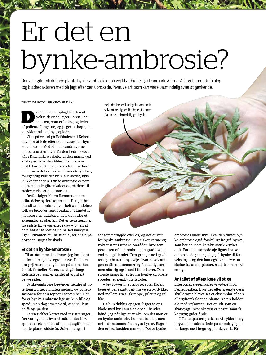 Bynke by Astma-Allergi Danmark - Issuu