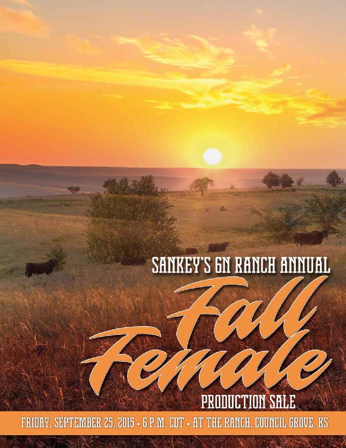 Sankey's 6N Ranch by Gail Lombardino, Homestead Graphics - Issuu