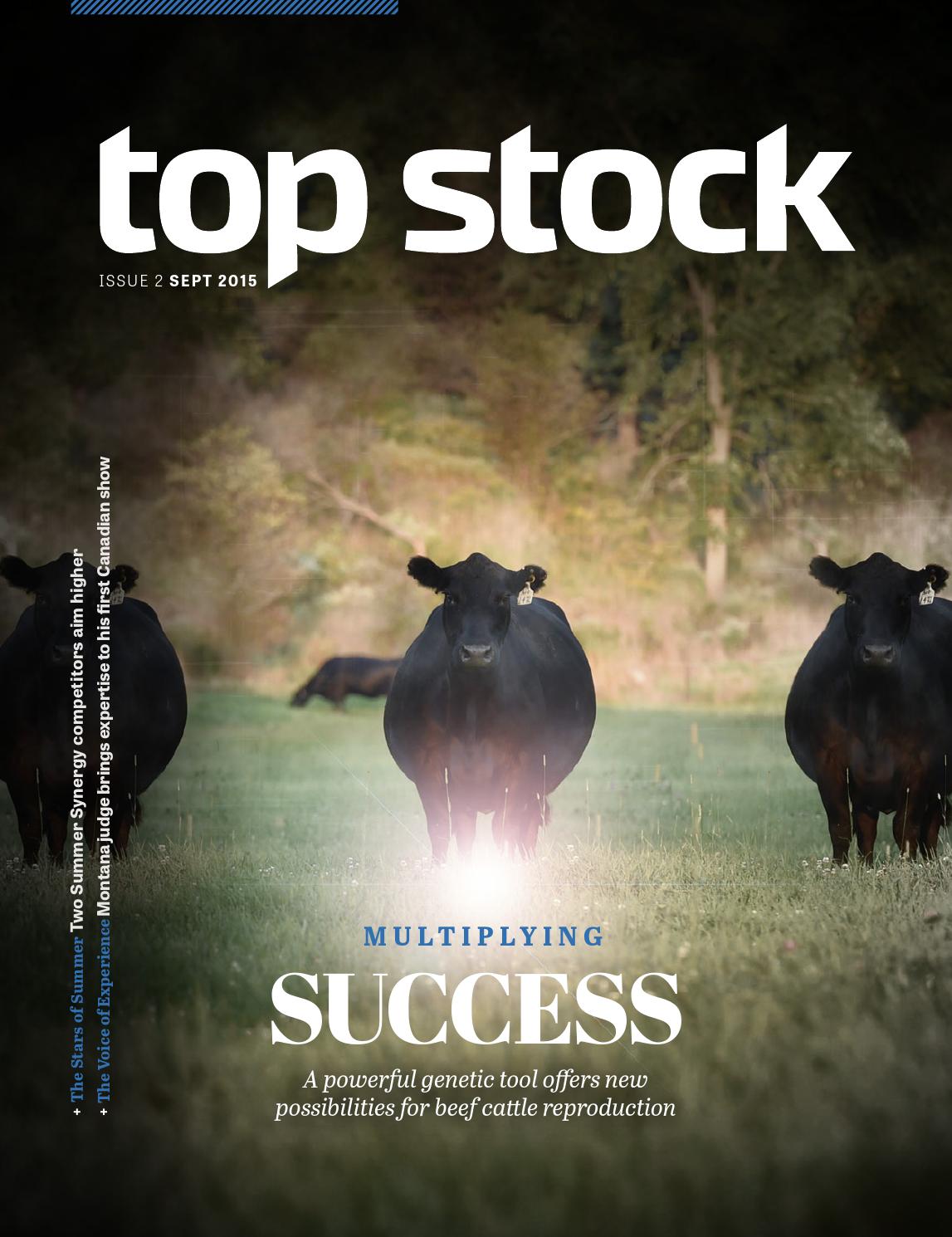 Top Stock Magazine September 2015 by Top Stock - Issuu