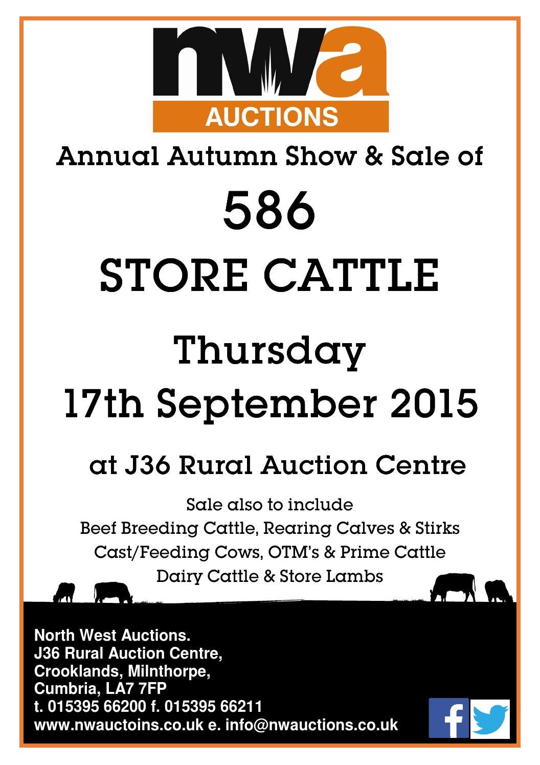 J36 Annual Autumn Show & Sale of STORE CATTLE - Thursday 17th September ...