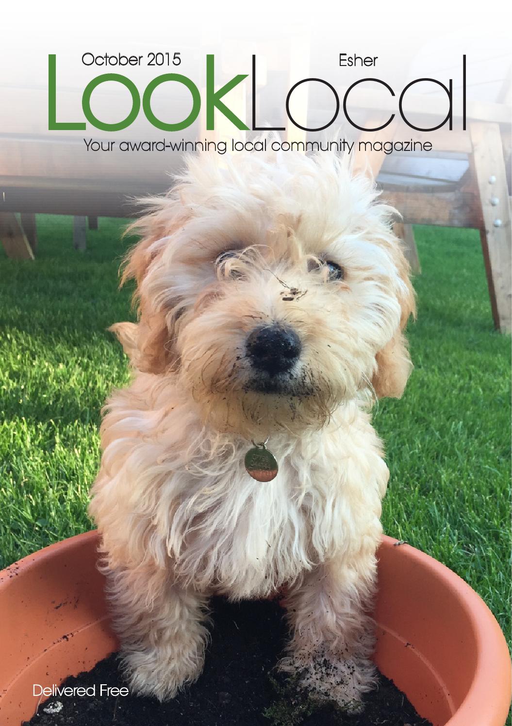 Look Local Magazine by Look Local Magazine - Issuu
