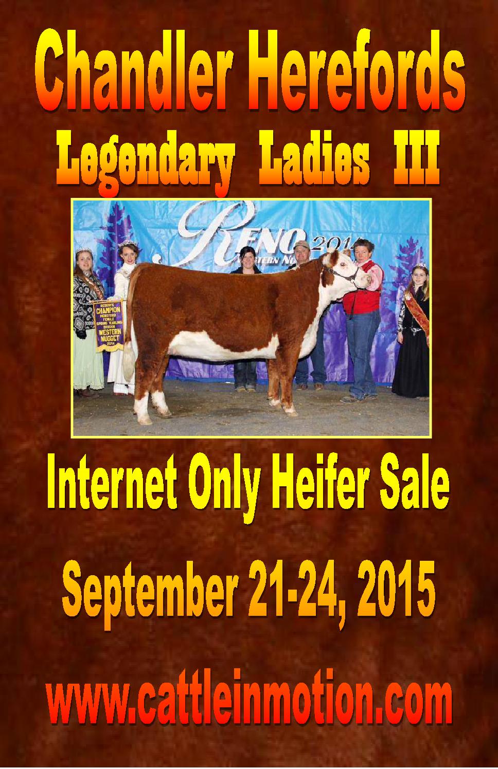 Chandler Herefords “Legendary Ladies III” Online Sale by Cattle In ...