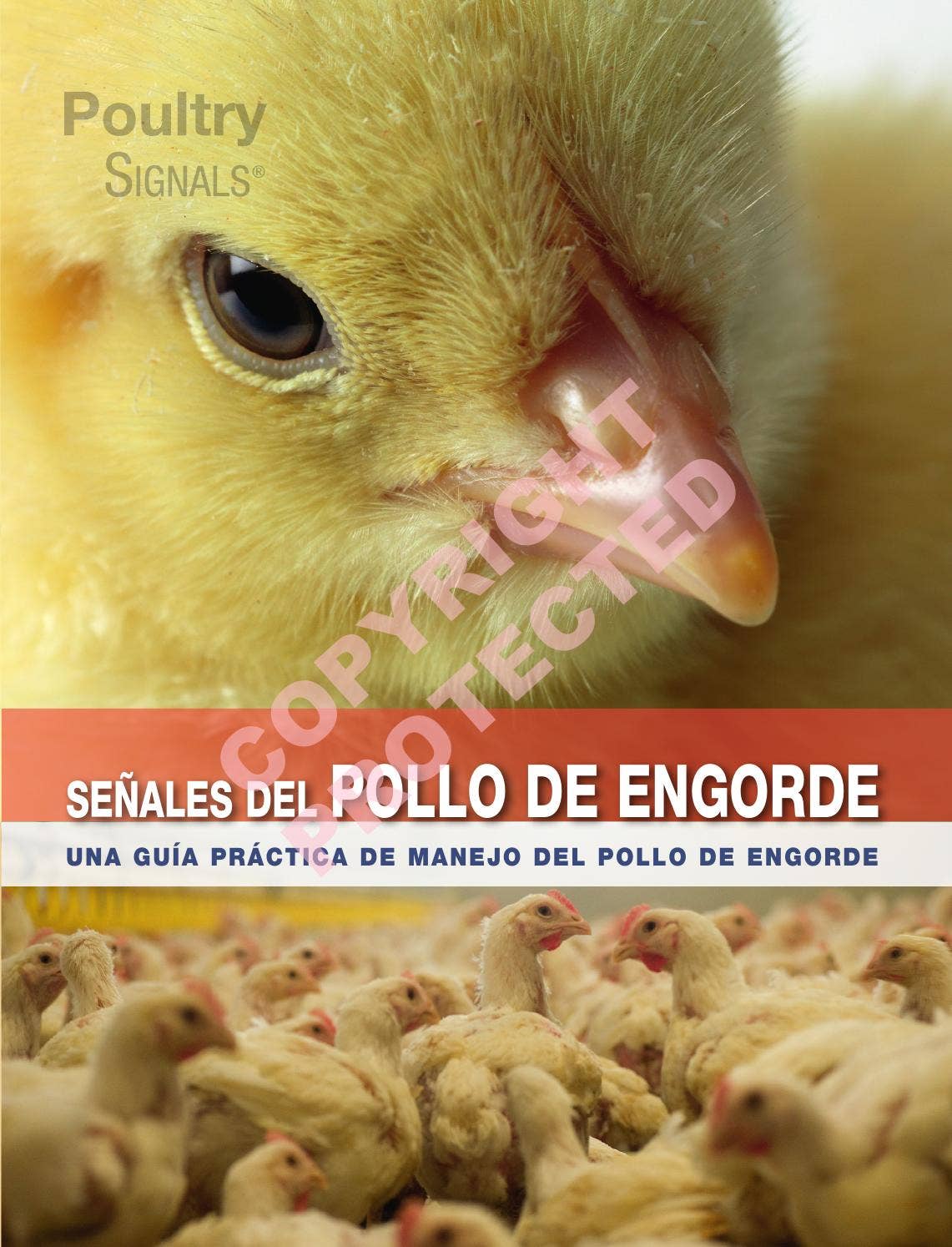 Broiler Signals - Spanish edition by Roodbont Publishers - Issuu