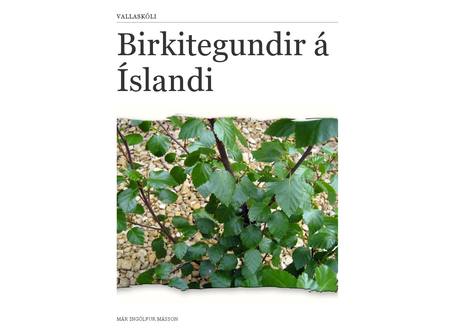 Birkitre by Már Ingólfur Másson - Issuu