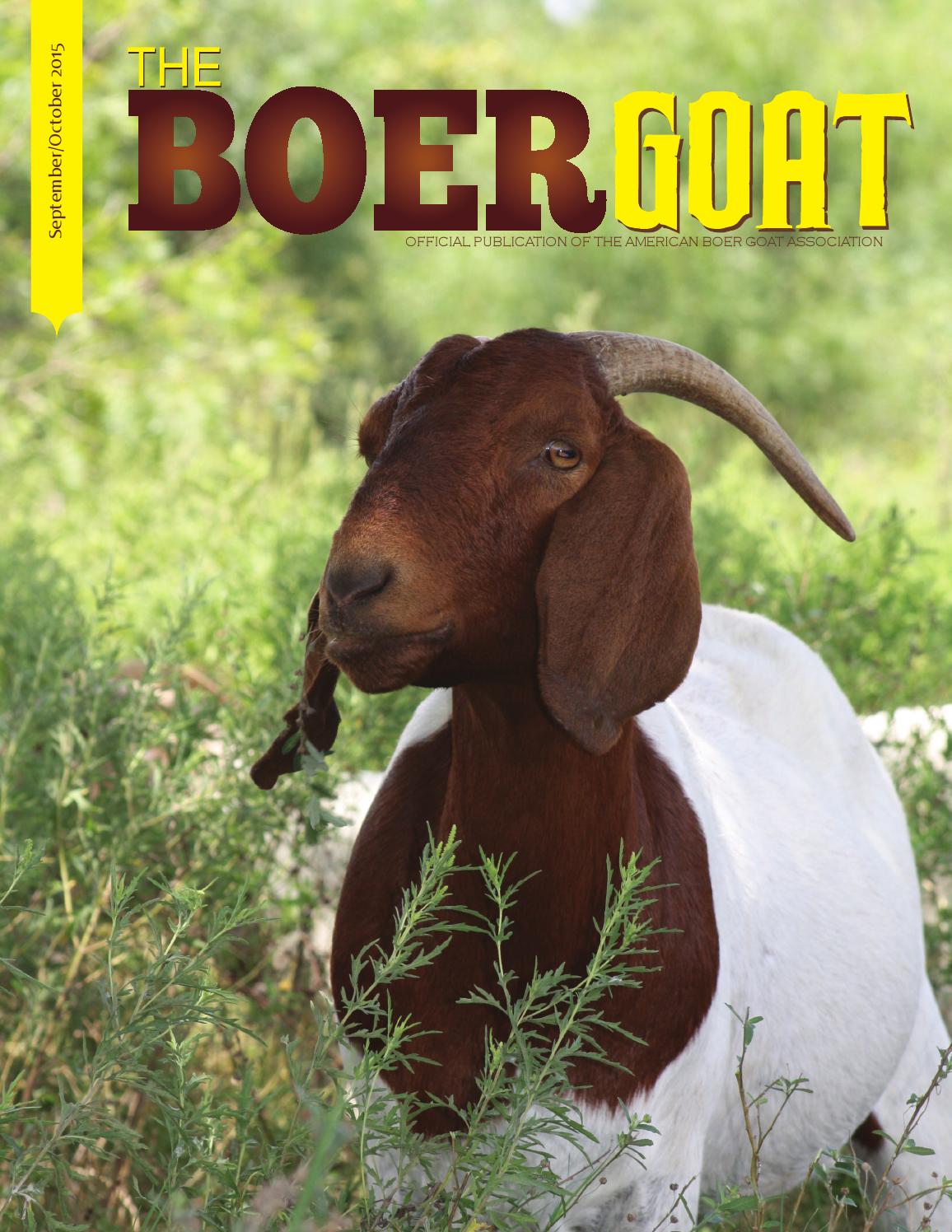 September October 2015 by American Boer Goat Association - Issuu