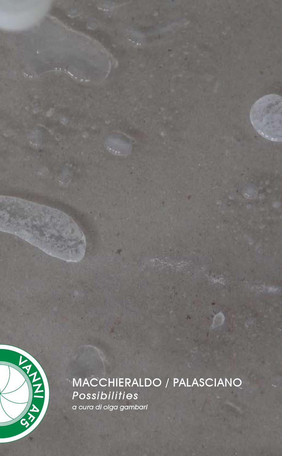 Catalogo macchieraldo palasciano concorso vanni autofocus 5 by ...