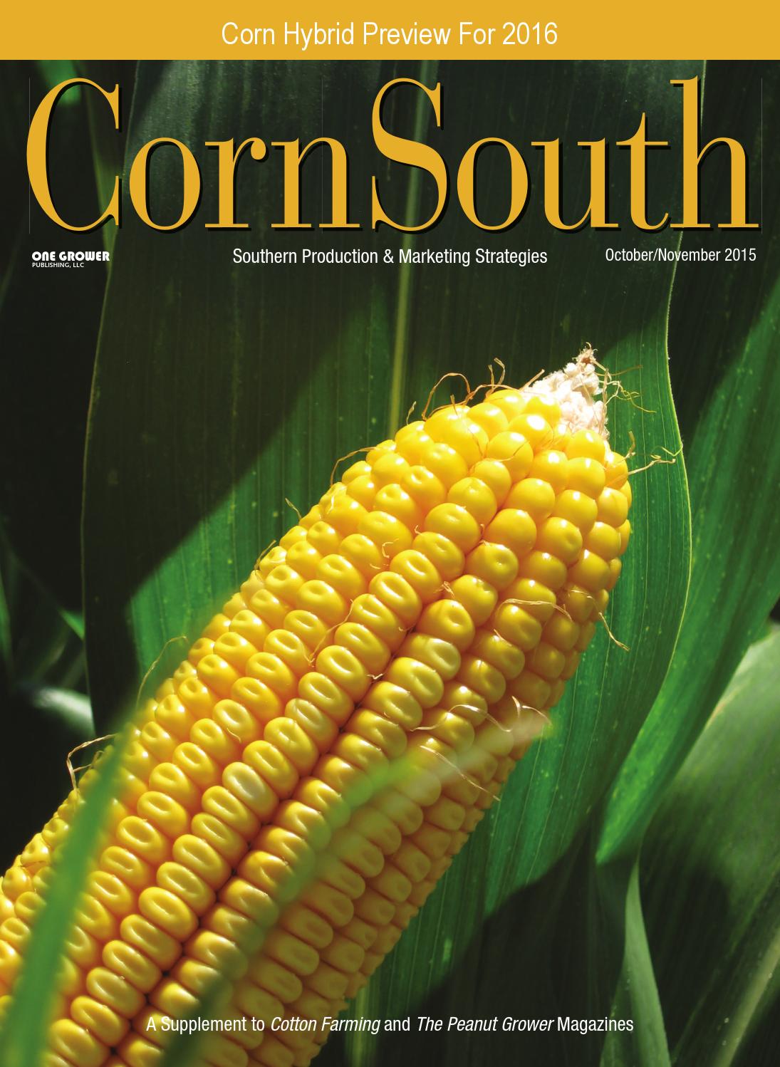Corn south october 2015 by One Grower Publishing - Issuu