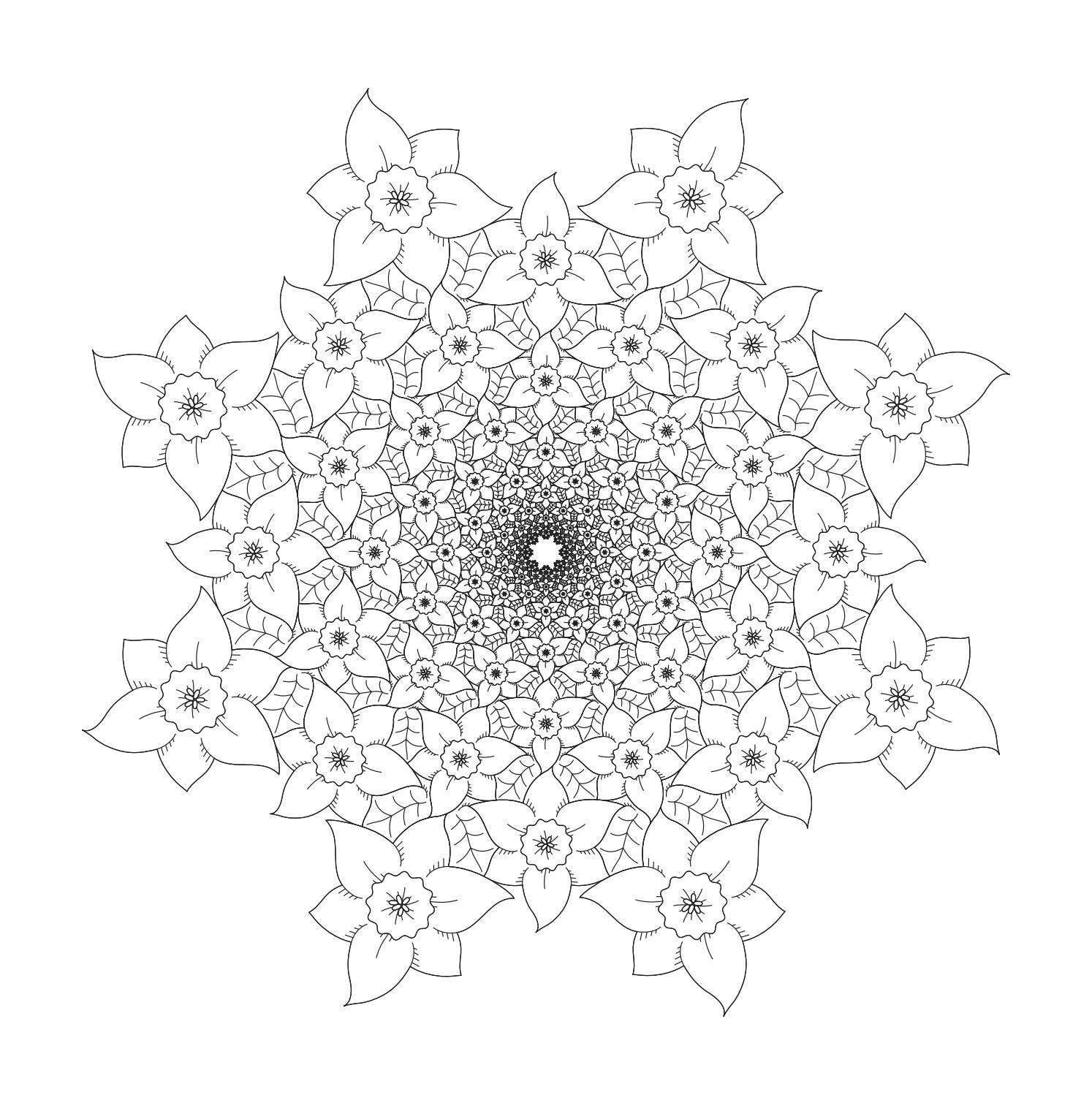 Snowflake Seashell Star by Canongate - Issuu