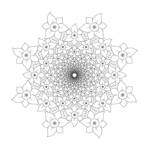 Snowflake Seashell Star by Canongate - Issuu