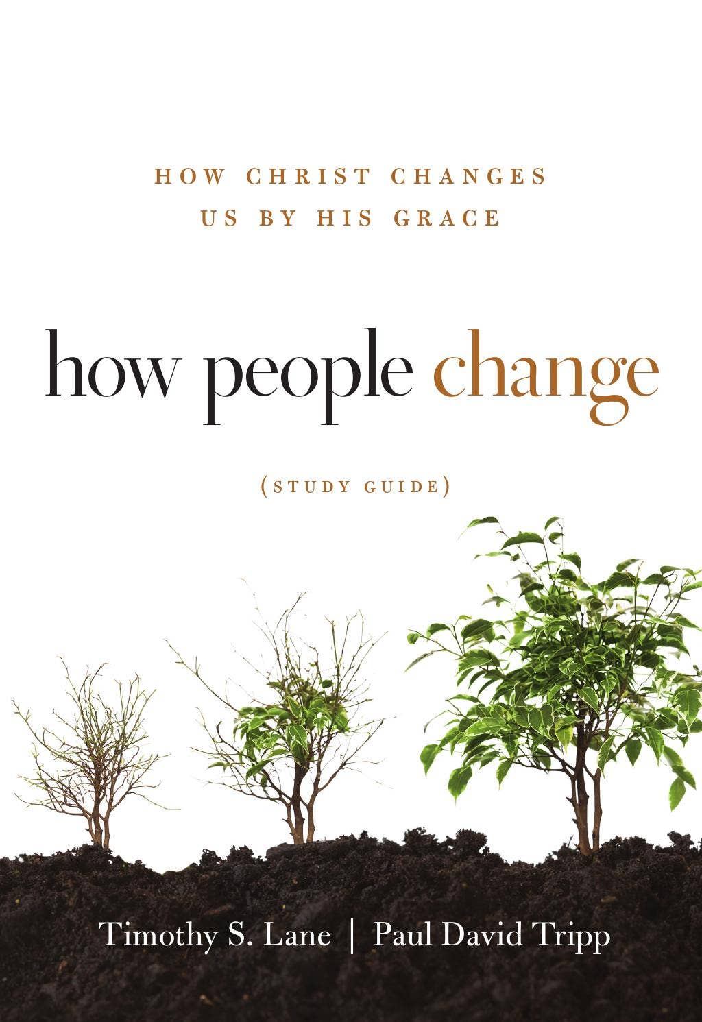 How People Change | Paul Tripp Study Guide by Paul Tripp Ministries - Issuu