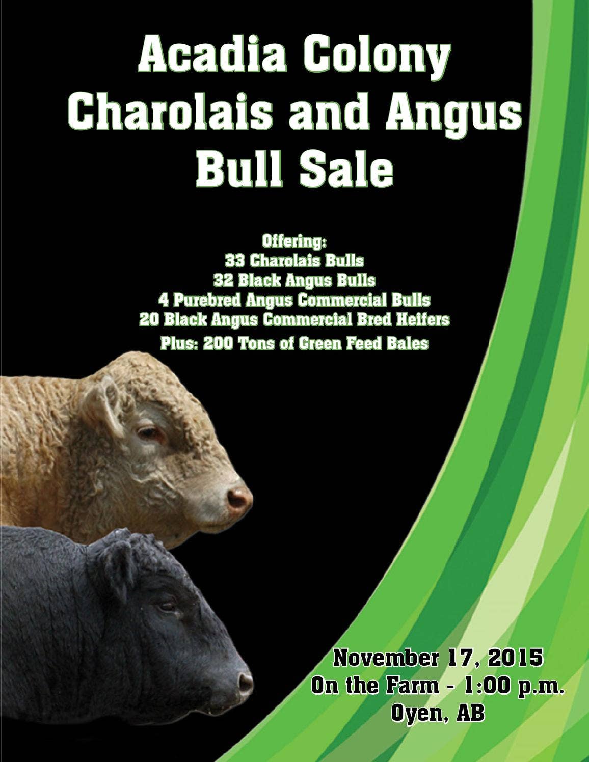 Acadia Colony Charolais and Angus Bull Sale by Today's Publishing Inc ...