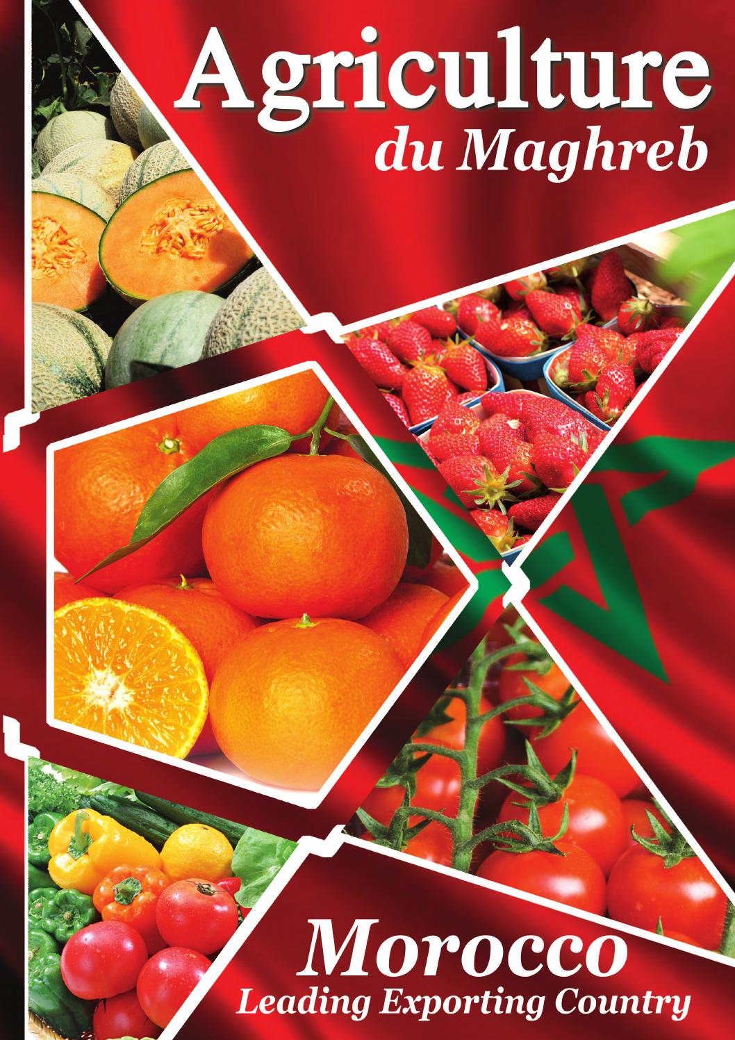 Spécial Fruit logistica by AGRICULTURE du MAGHREB - Issuu