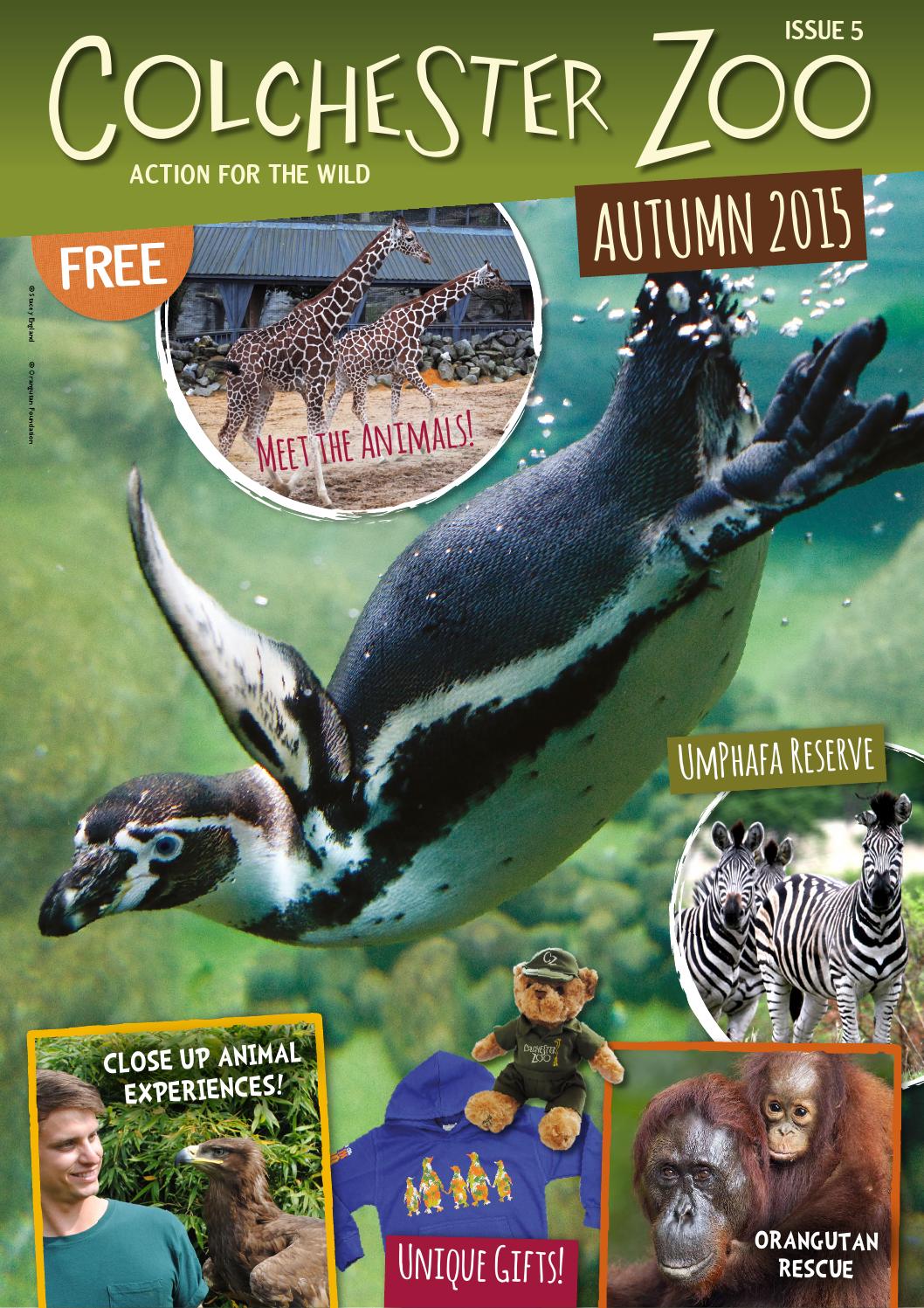 Colchester Zoo Magazine Autumn 2015 by Colchester Zoo - Issuu