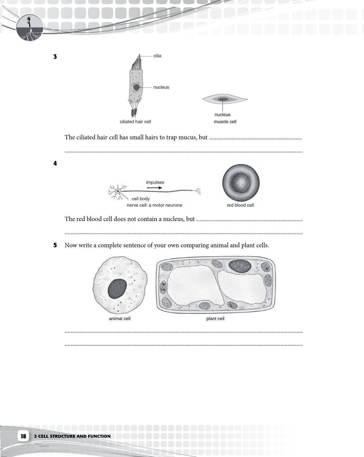 Preview Breakthrough to CLIL for Biology by Cambridge International ...