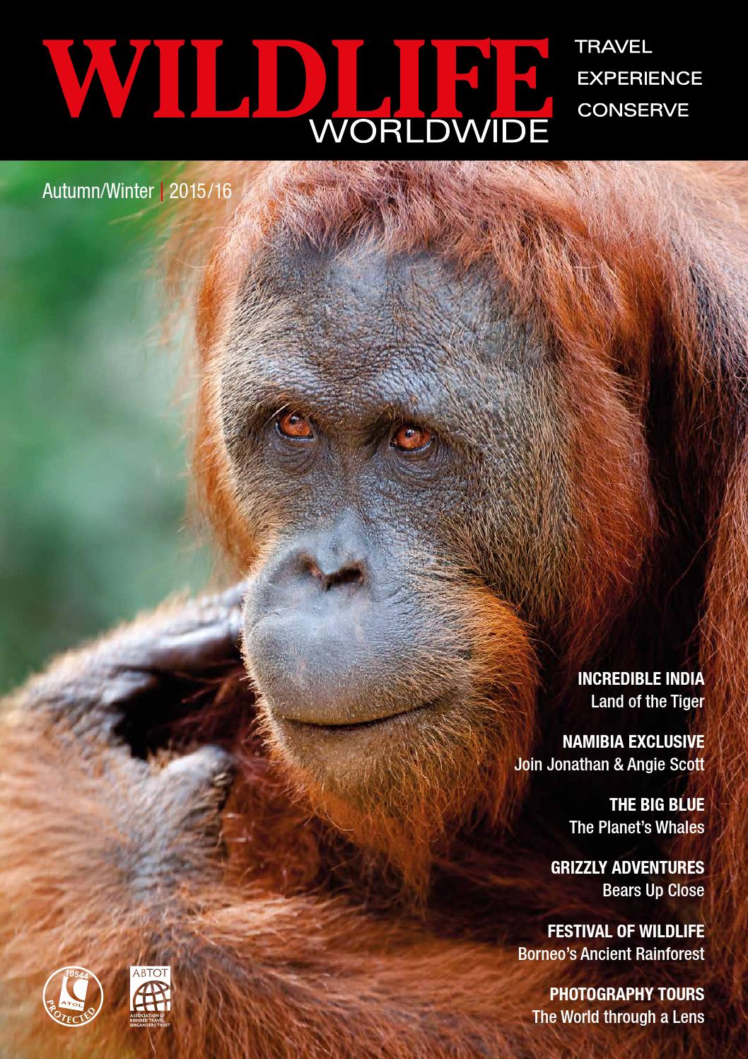 Wildlife Worldwide Brochure Autumn/Winter 2015/16 by The Natural Travel ...