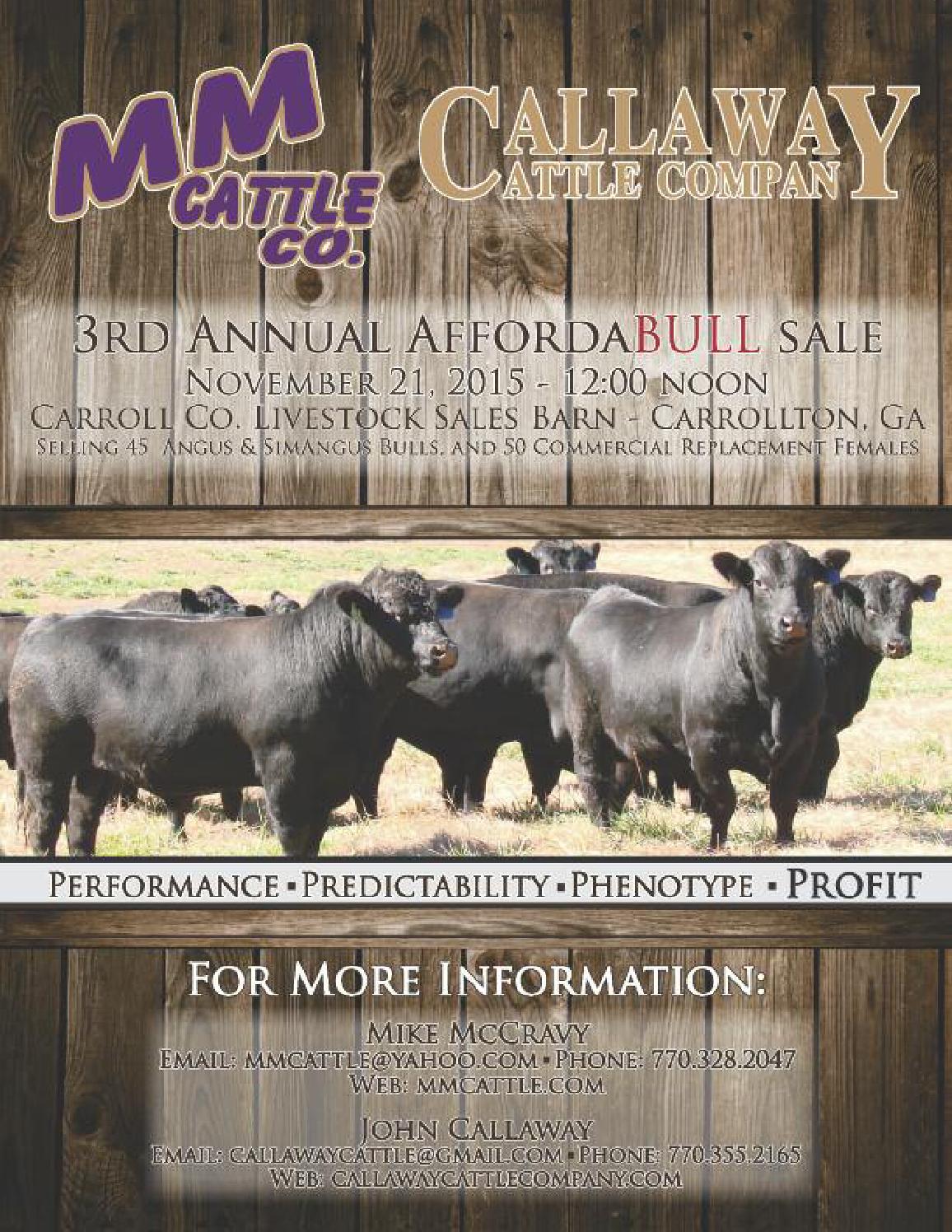 Callaway Cattle by American Simmental Publication, Inc - Issuu